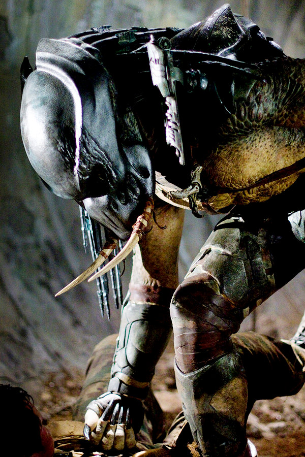 Predators Picture 37