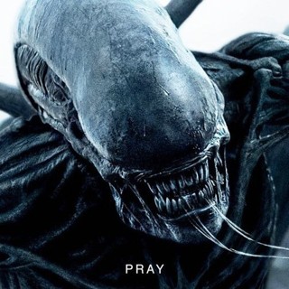 Alien: Covenant (2017) Pictures, Photo, Image and Movie Stills