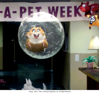 Bolt (2008) Cast, Crew, Synopsis and Movie Info