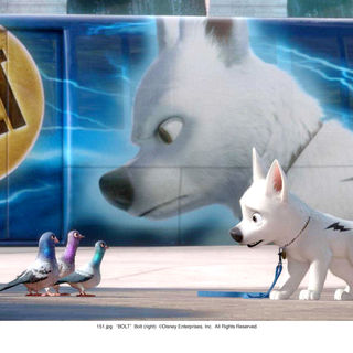 Bolt (2008) Pictures - Gallery 2 with High Quality Photos