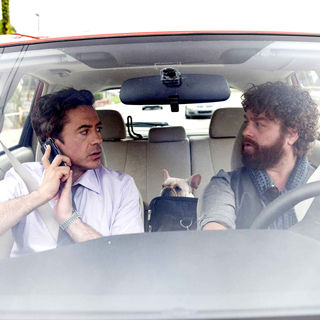Due Date (2010) by Todd Phillips | AceShowbiz