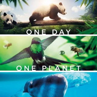 Earth: One Amazing Day (2017) Pictures, Trailer, Reviews, News, DVD and ...