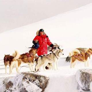 Eight Below (2006) Cast, Crew, Synopsis and Movie Info
