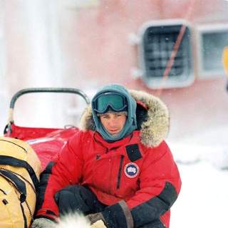 Eight Below Picture 2