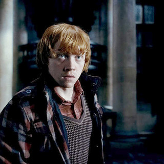 Harry Potter and the Deathly Hallows: Part I Picture 145