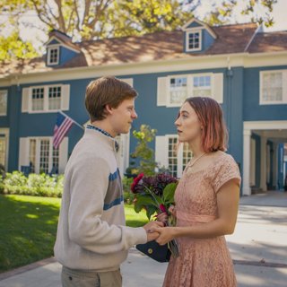 Lady Bird Picture 10
