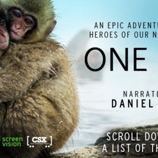 One Life (2013) Pictures, Trailer, Reviews, News, DVD and Soundtrack