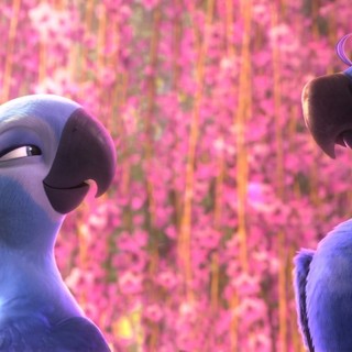 Rio 2 Picture 13 | AceShowbiz