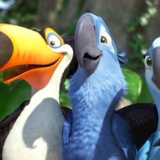 Rio 2 Picture 13