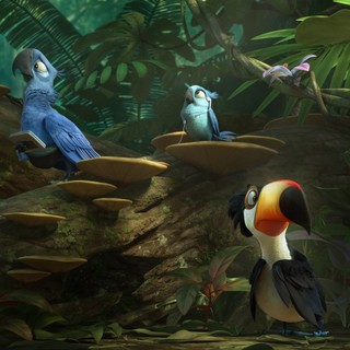 Rio 2 Picture 26