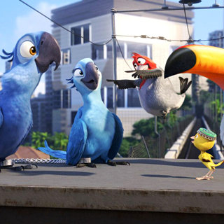 Rio (2011) Cast, Crew, Synopsis and Movie Info