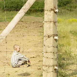 The Boy in the Striped Pajamas Picture 16