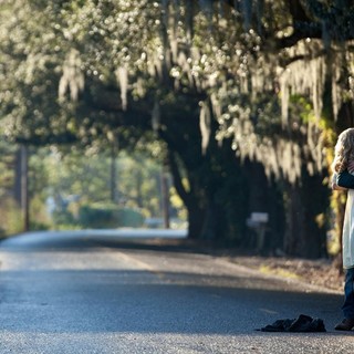 Lucky One, The (2012) - Starring Zac Efron | AceShowbiz