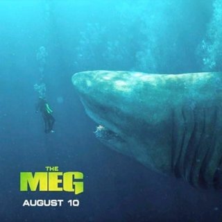 Meg, The (2018) - Starring Jason Statham | AceShowbiz