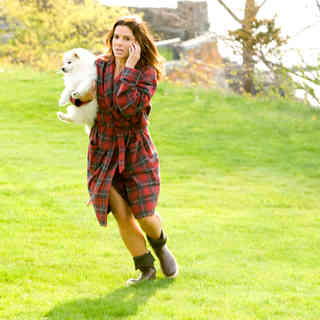 The Proposal Picture 35