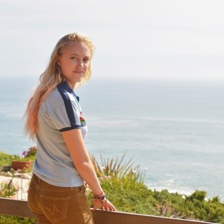 The Tribes of Palos Verdes (2017) Cast, Crew, Synopsis and Movie Info