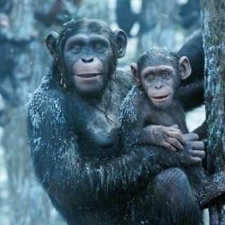 War For The Planet Of The Apes Picture 40