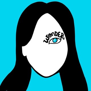 Wonder Picture 10