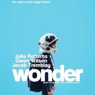 Wonder Picture 10