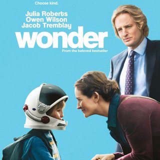 Wonder Picture 10