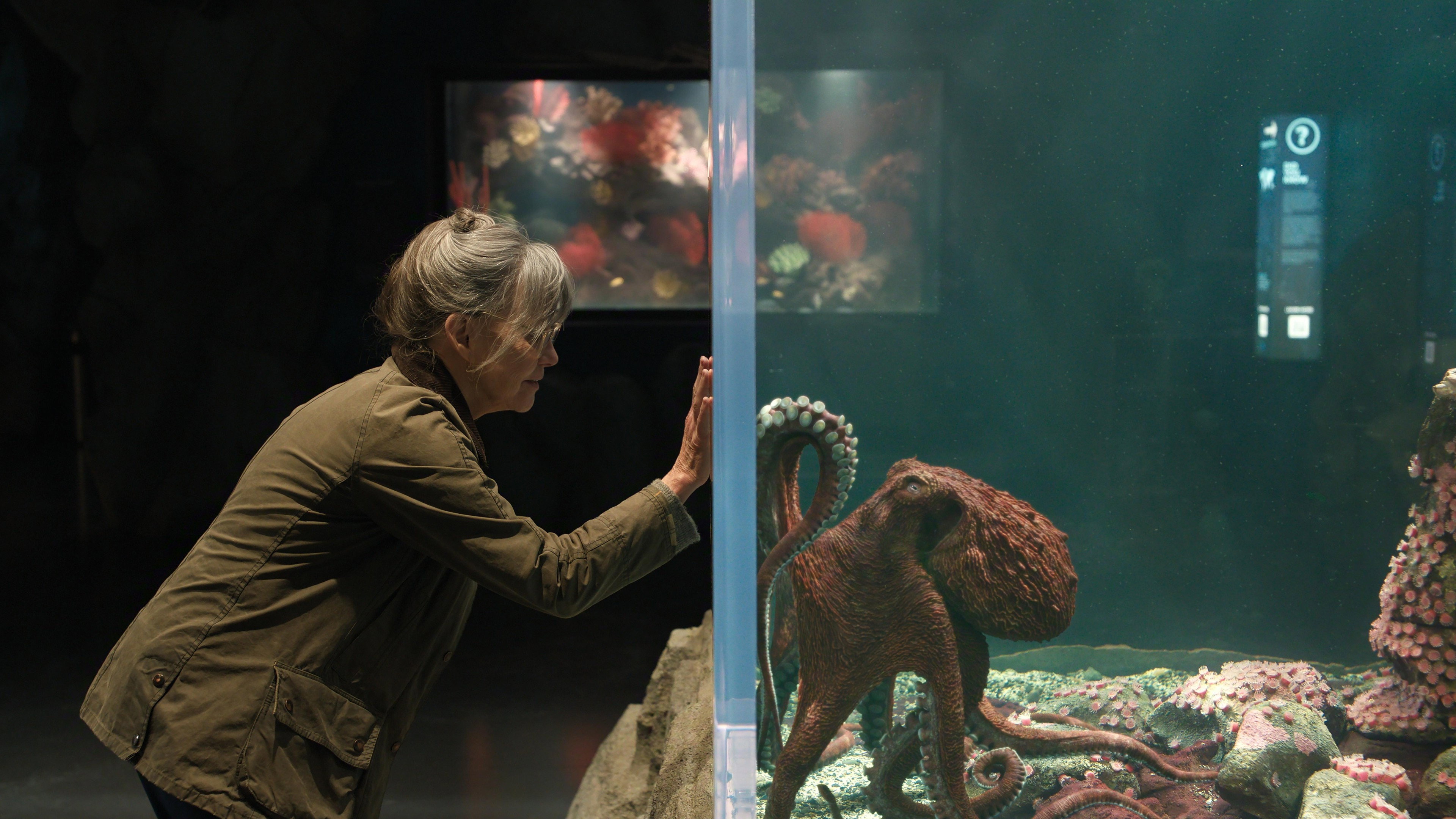 Remarkably Bright Creatures 2026 Drama Film Aceshowbiz
