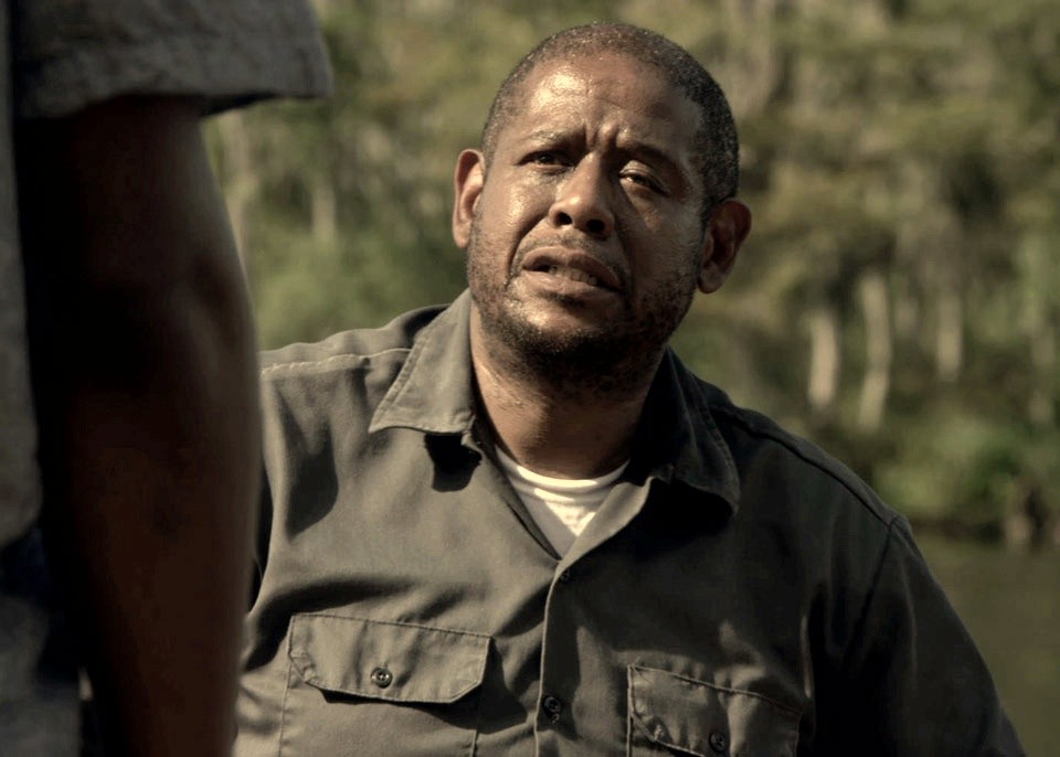 Repentance Picture 13