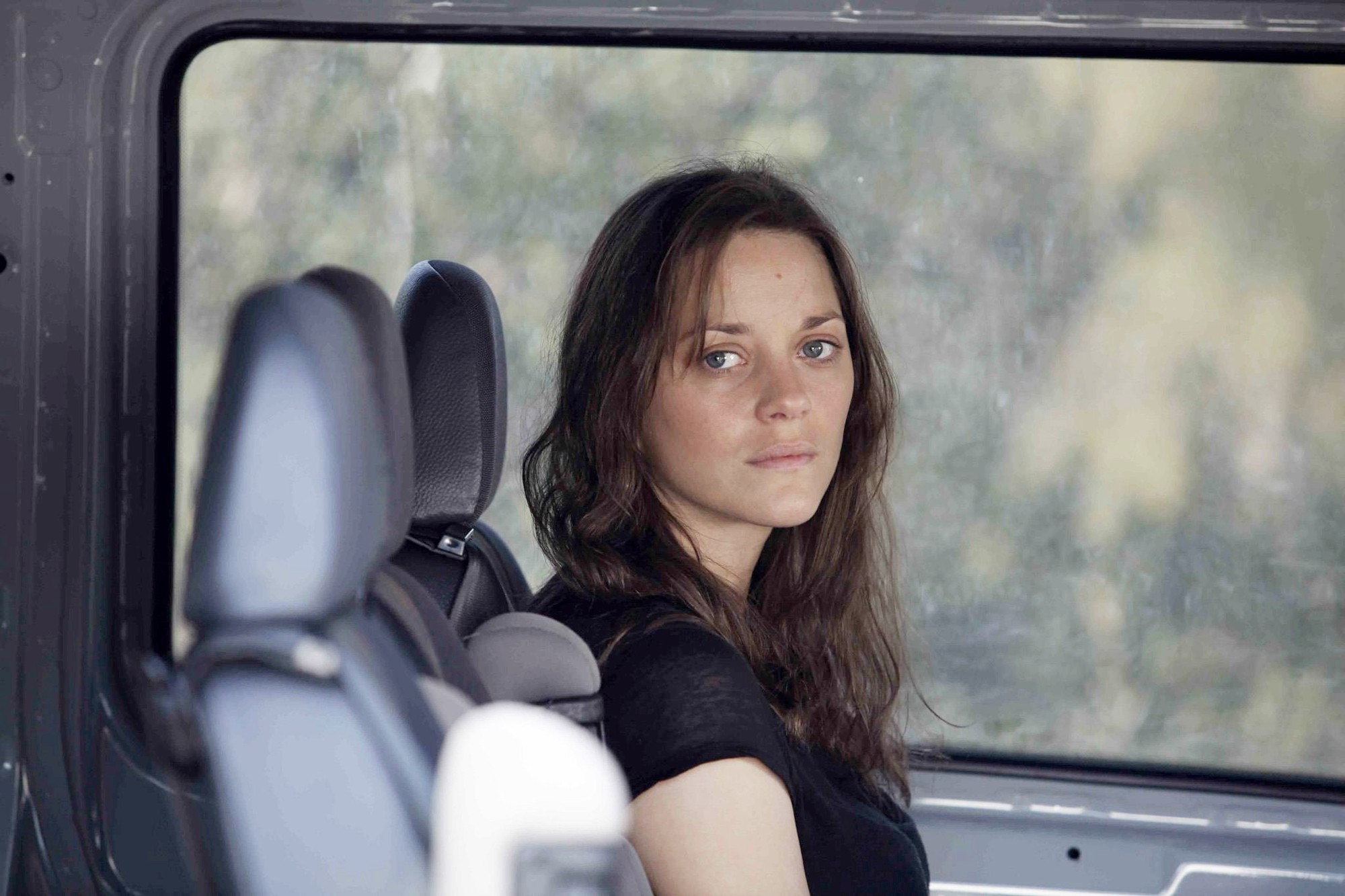 Rust And Bone Picture 34