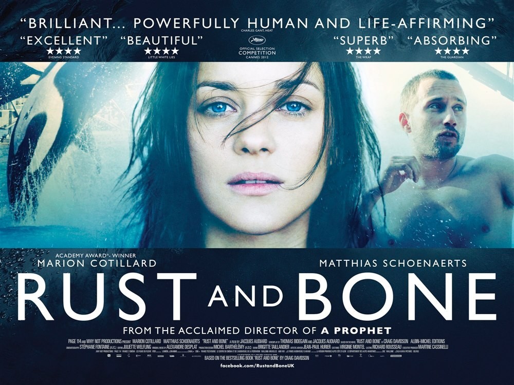 Rust and Bone Picture 35