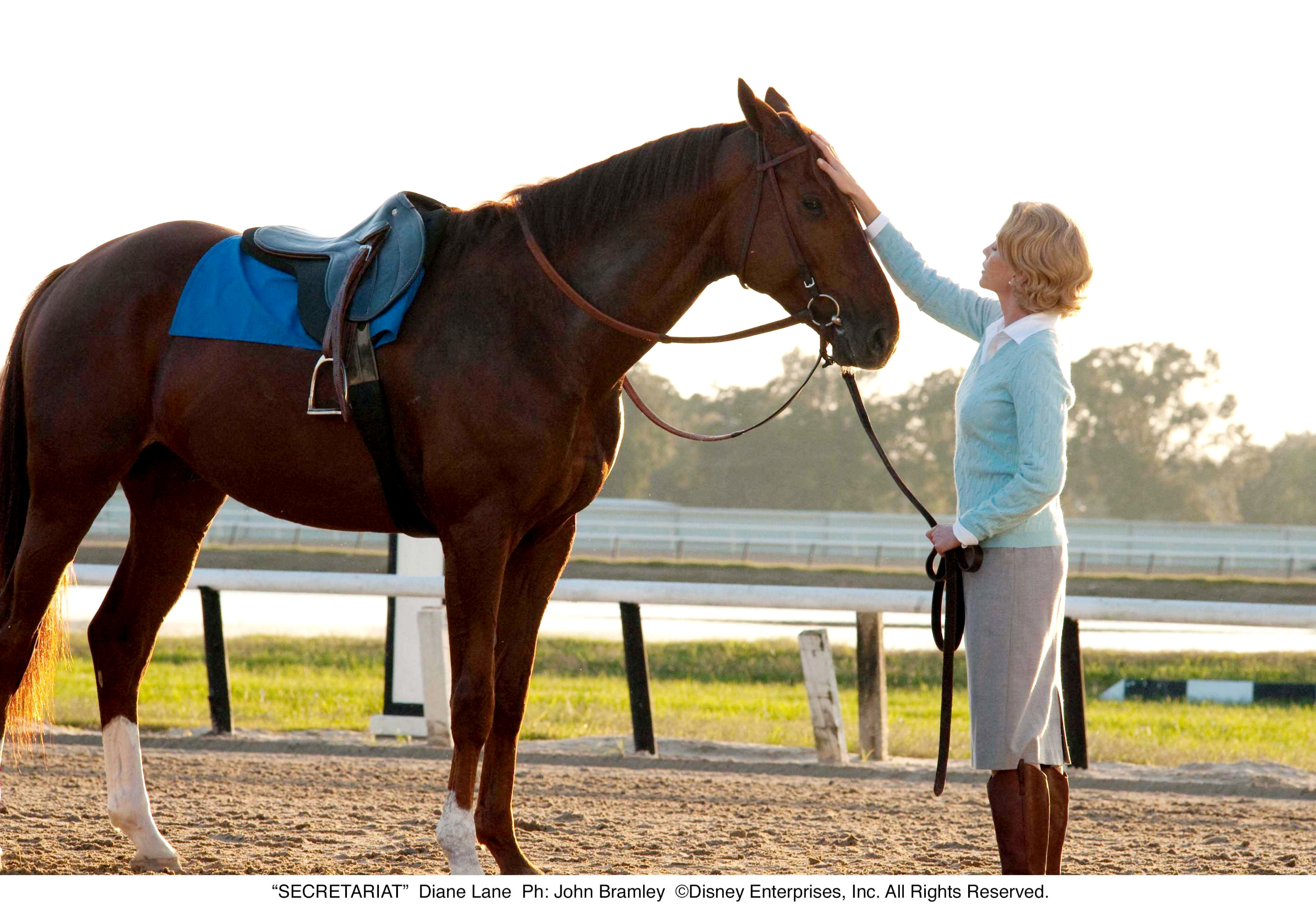 Secretariat Picture 7