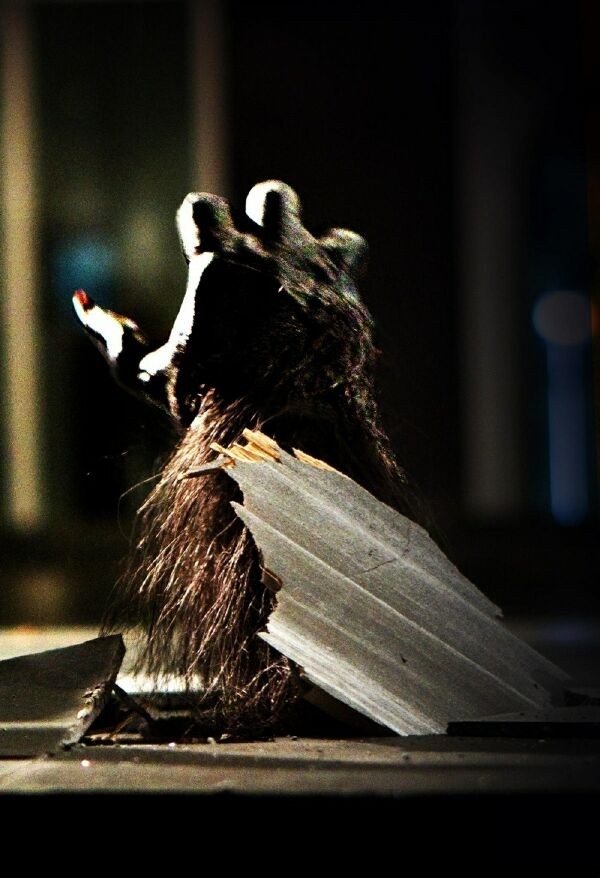 The Howling: Reborn Picture 2