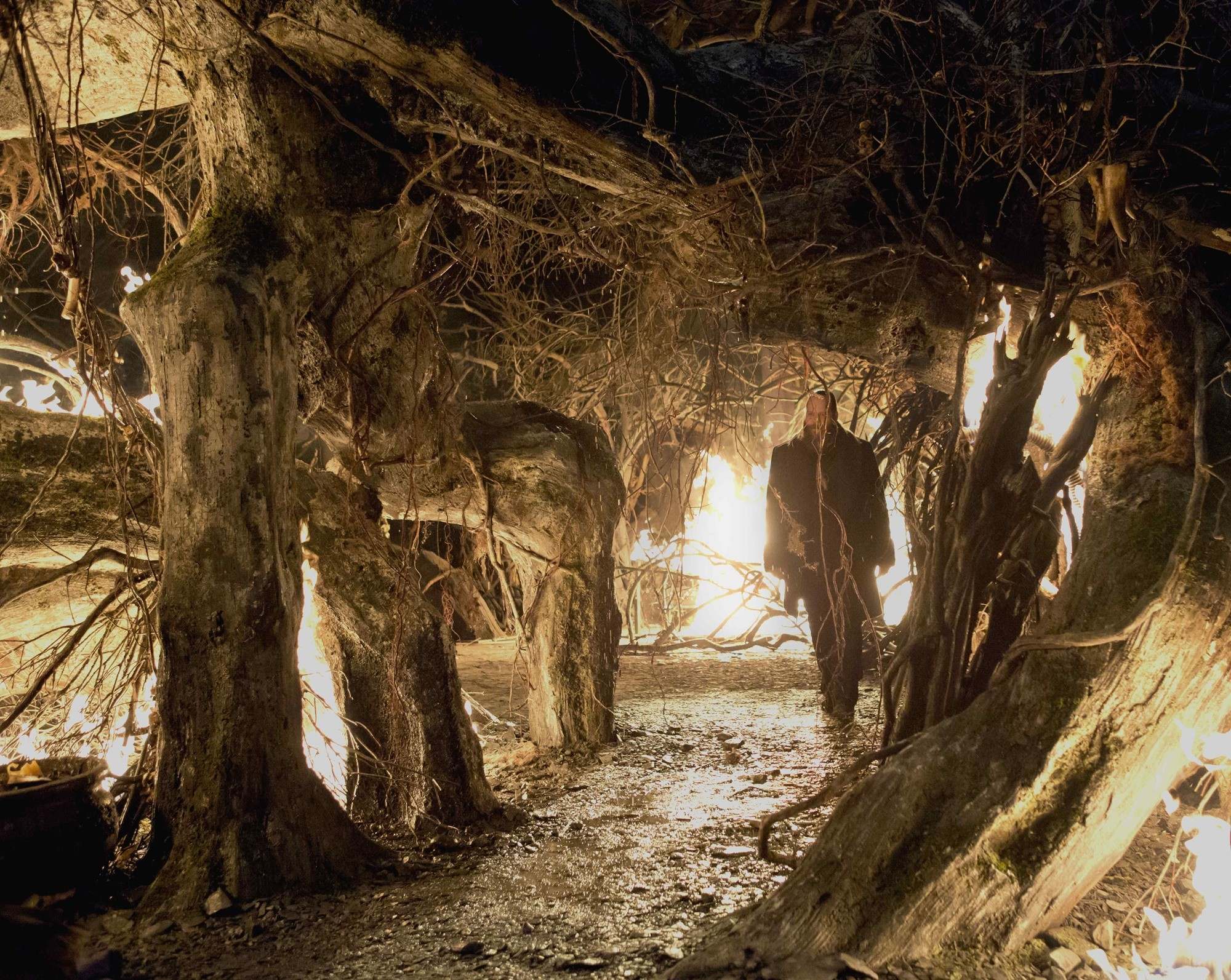 Last Witch Hunter, The Picture 27