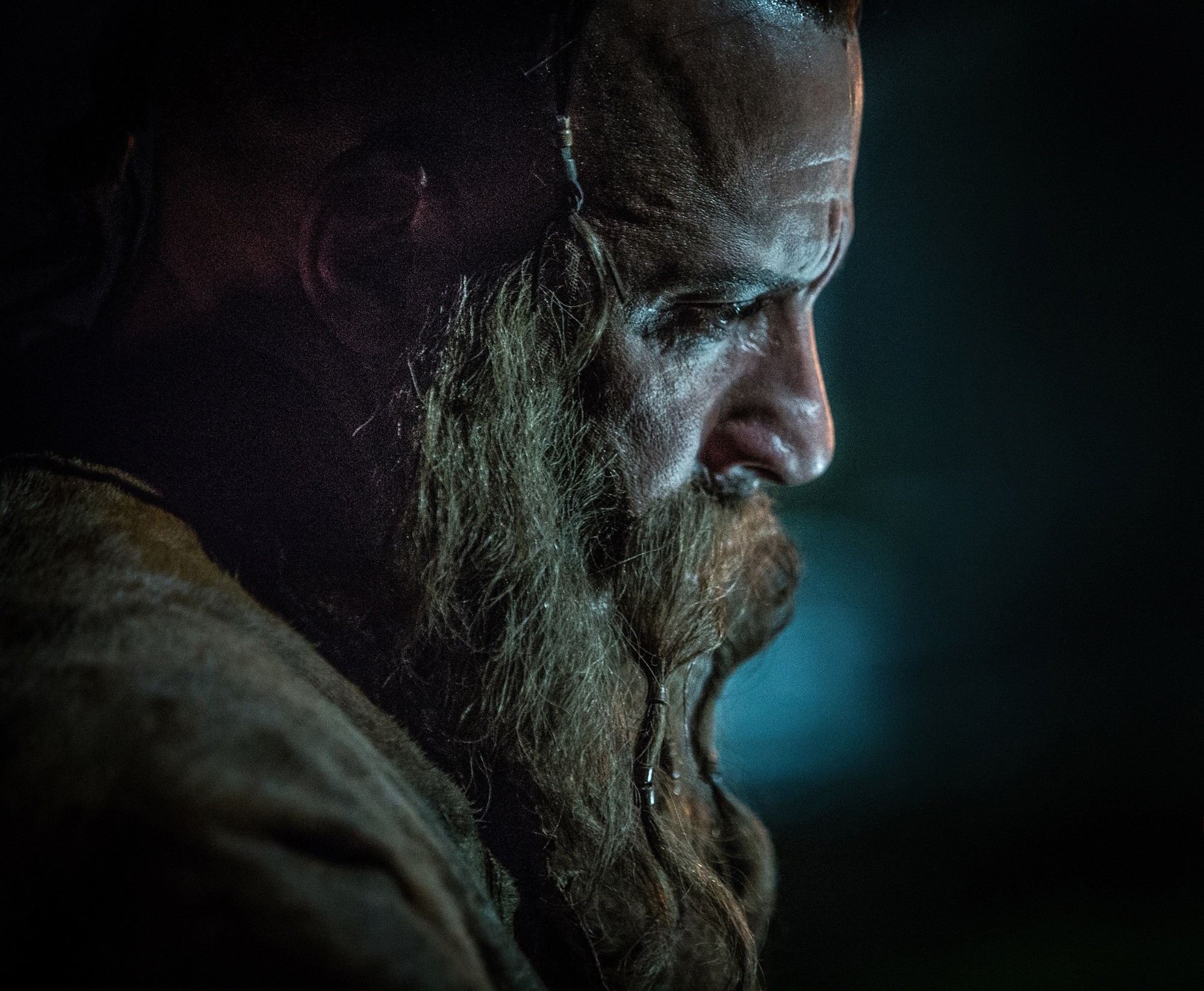The Last Witch Hunter Picture 34