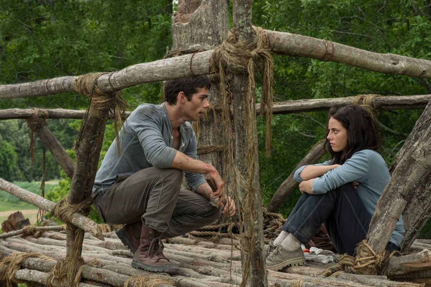 The Maze Runner Picture 1
