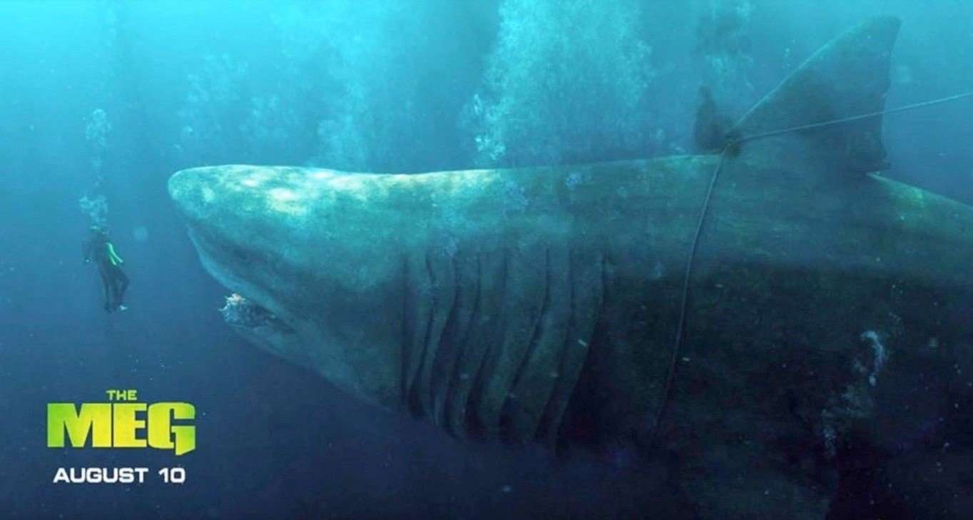 Meg, The (2018) Cast, Crew, Synopsis and Movie Info