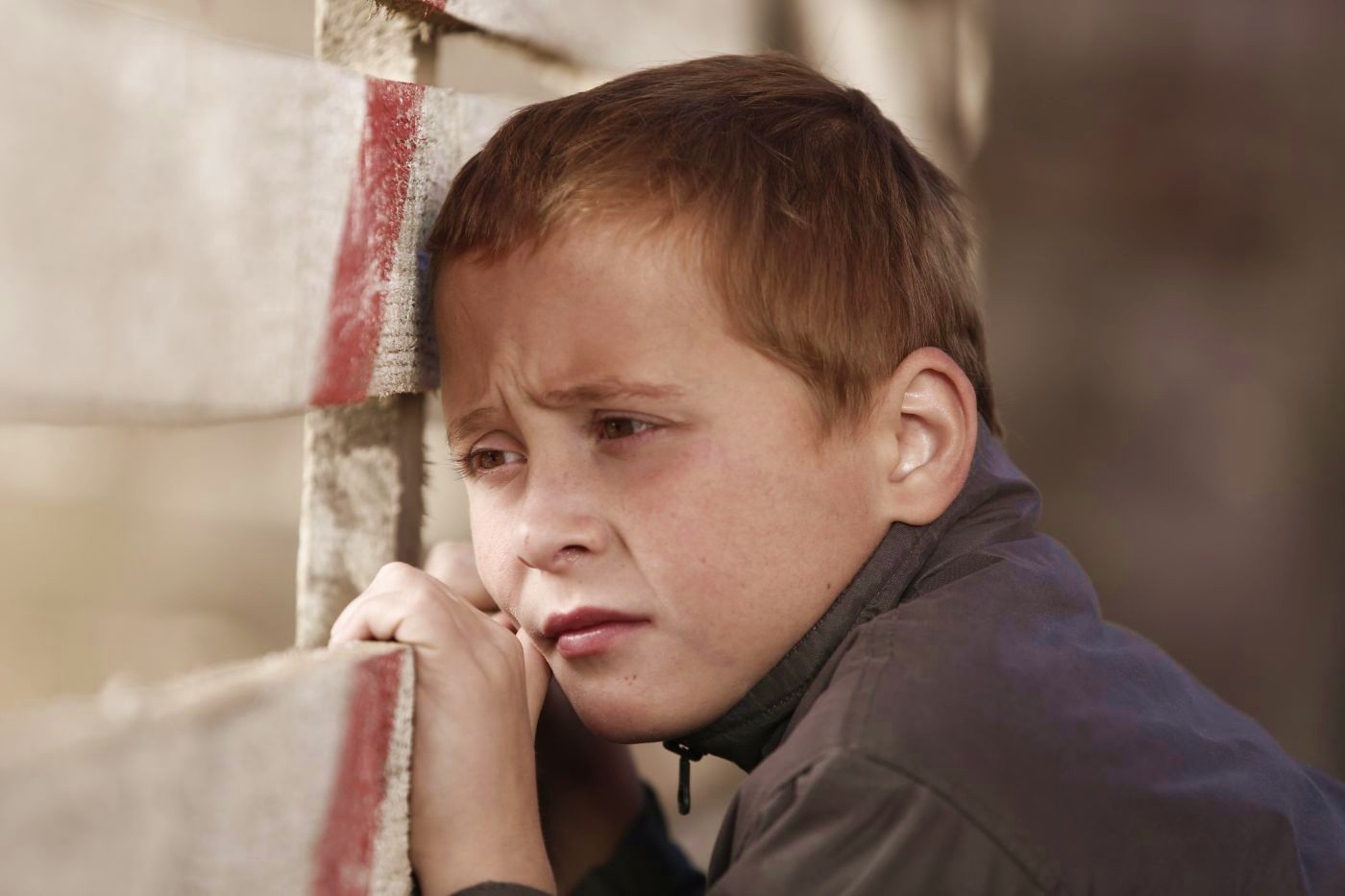 The Search (2014) Cast, Crew, Synopsis and Movie Info