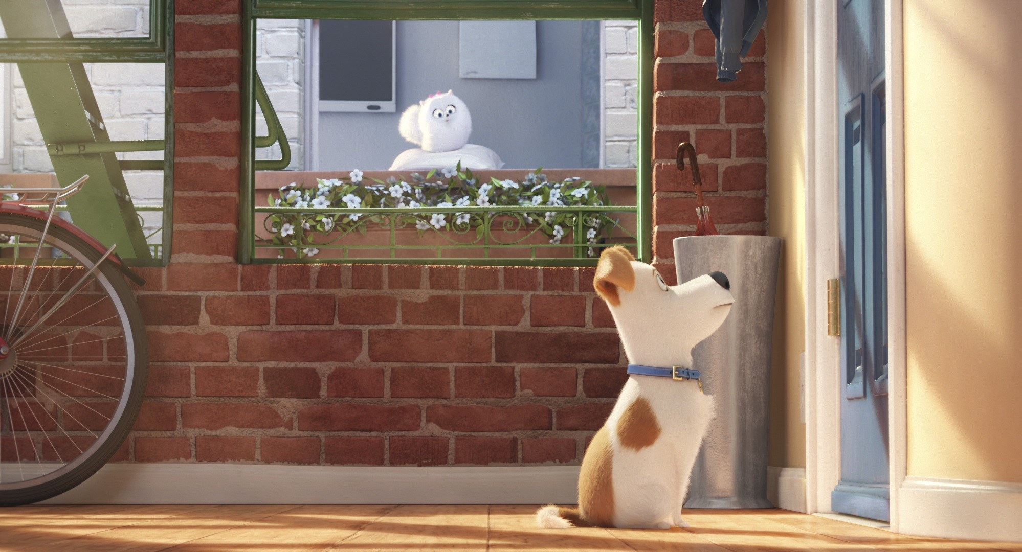 The Secret Life of Pets Picture 2