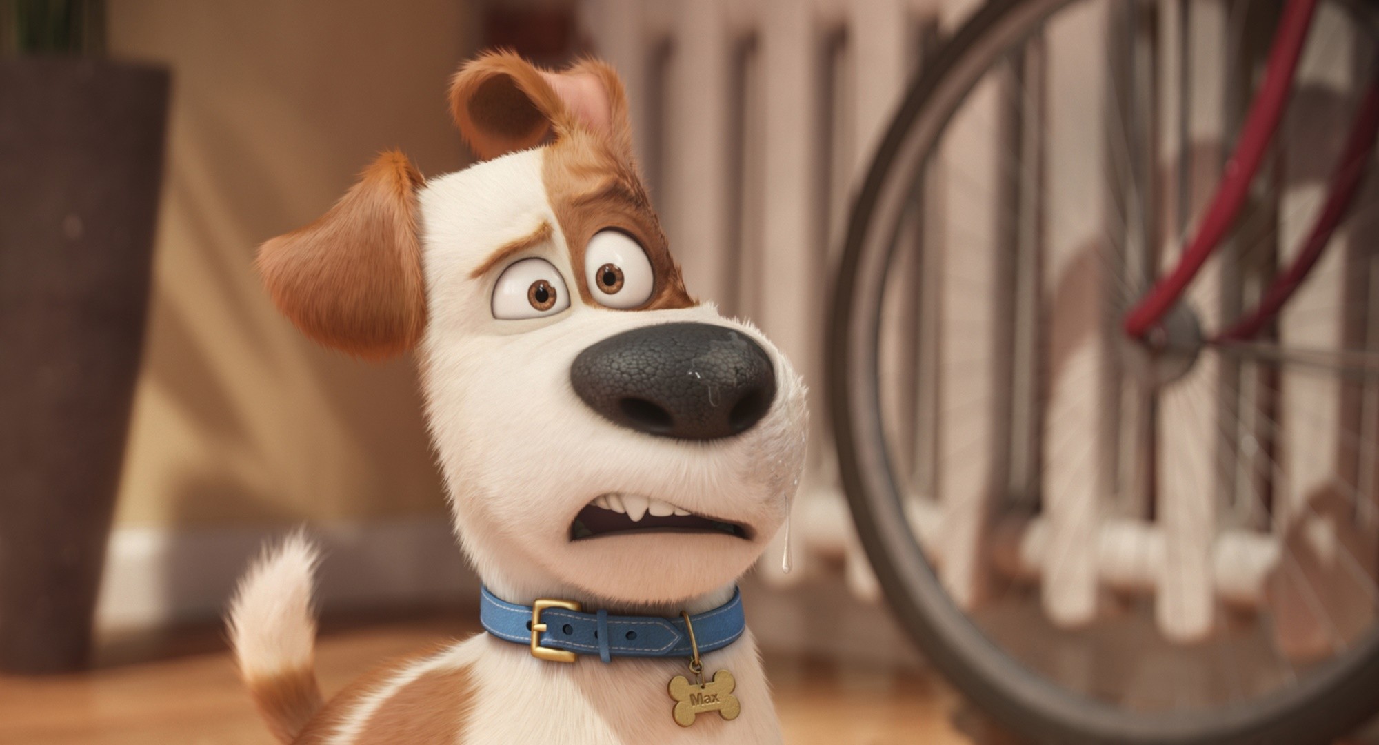 Secret Life Of Pets, The (2016) - Movie Info | AceShowbiz