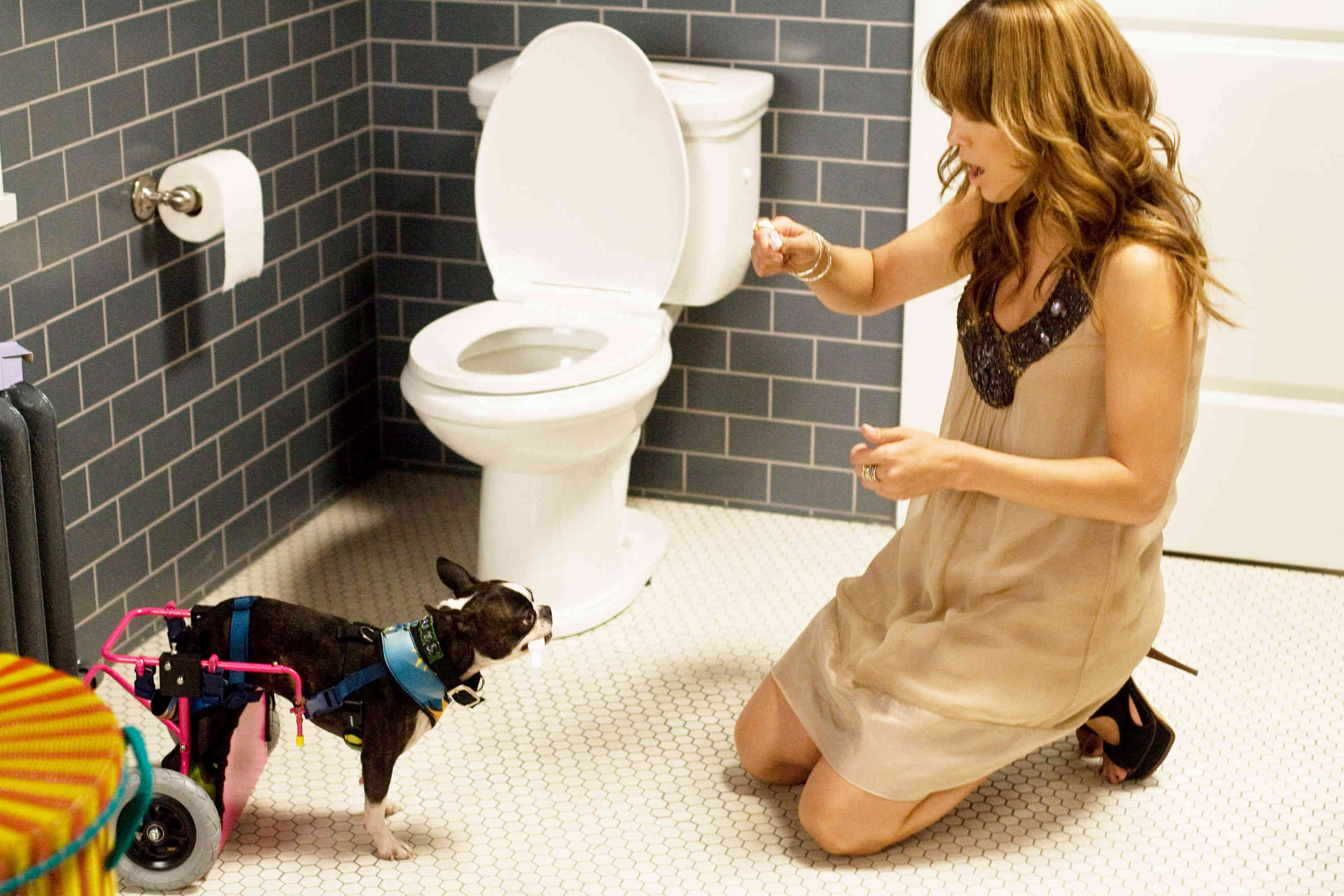 The Back-Up Plan Picture 32