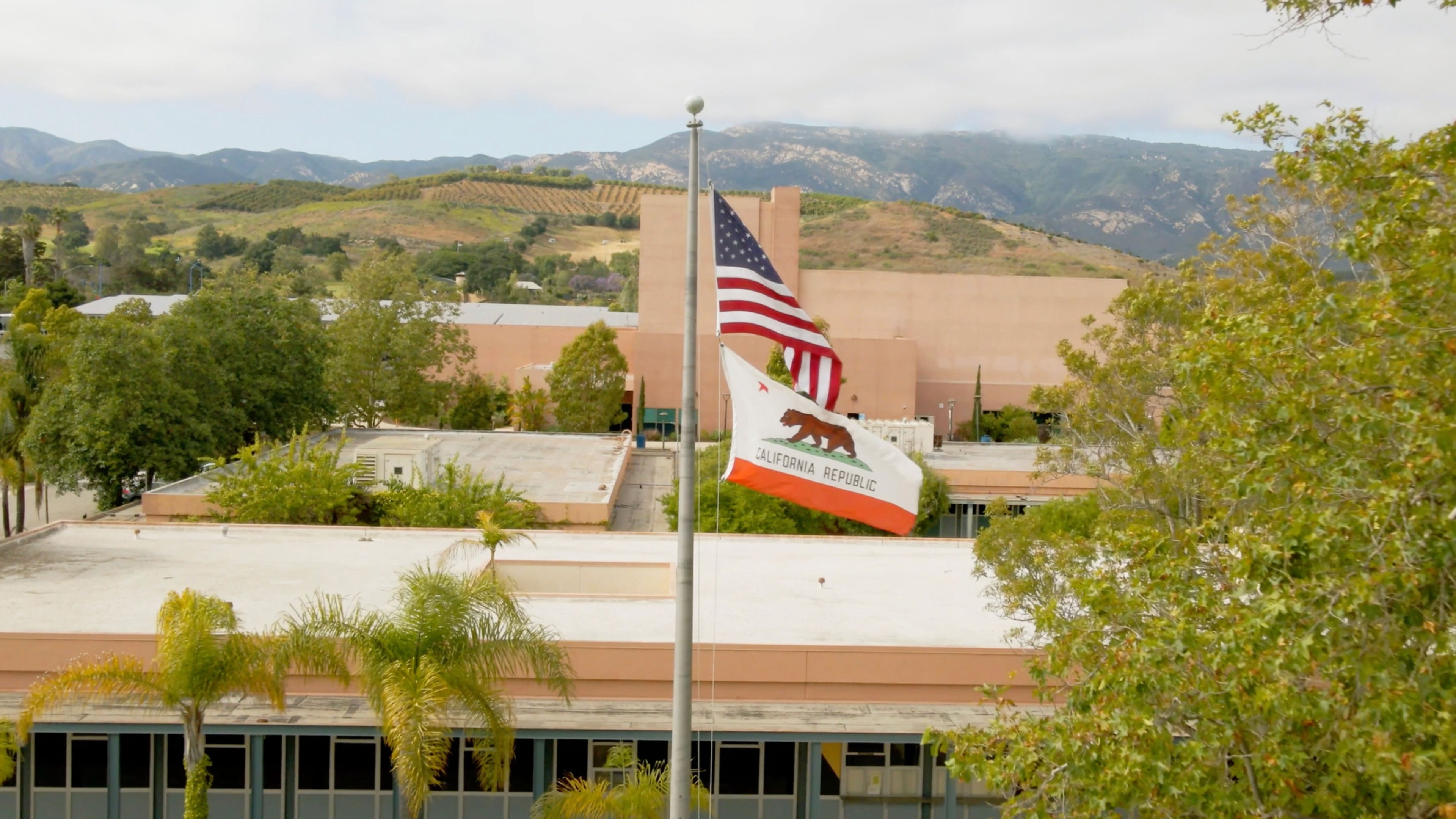 The Bear Beneath Picture 2