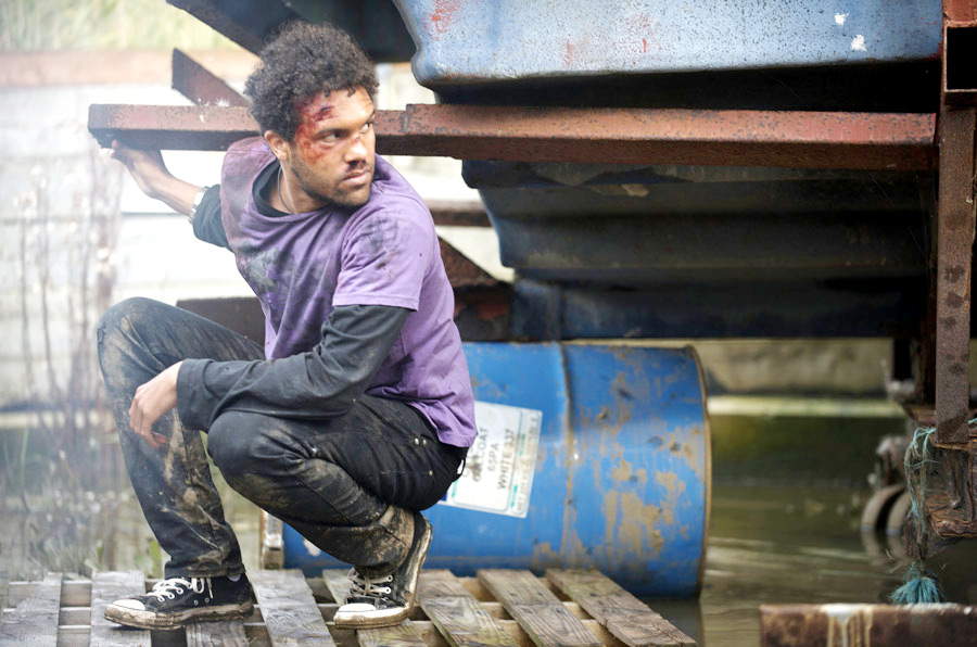 The Reeds (2010) Cast, Crew, Synopsis and Movie Info