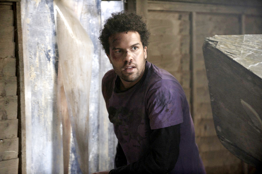 The Reeds Picture 16