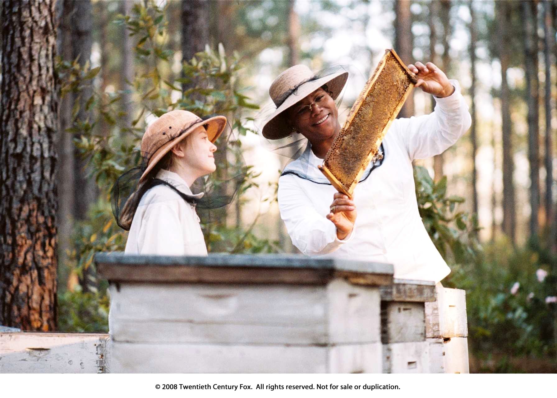 The Secret Life of Bees Picture 5