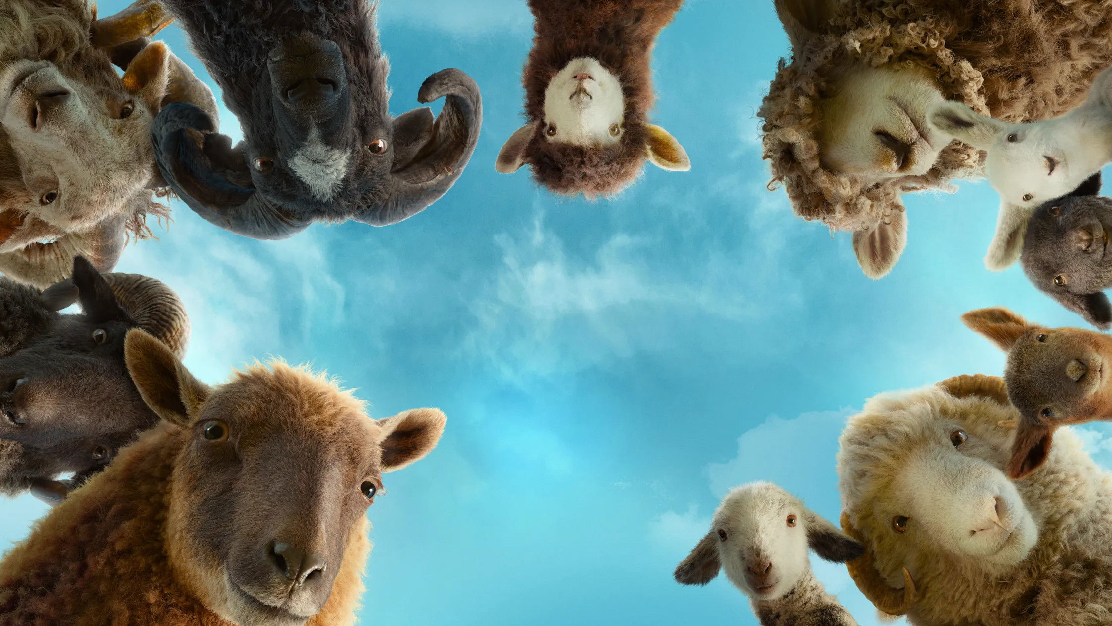 The Sheep Detectives Picture 10 | AceShowbiz