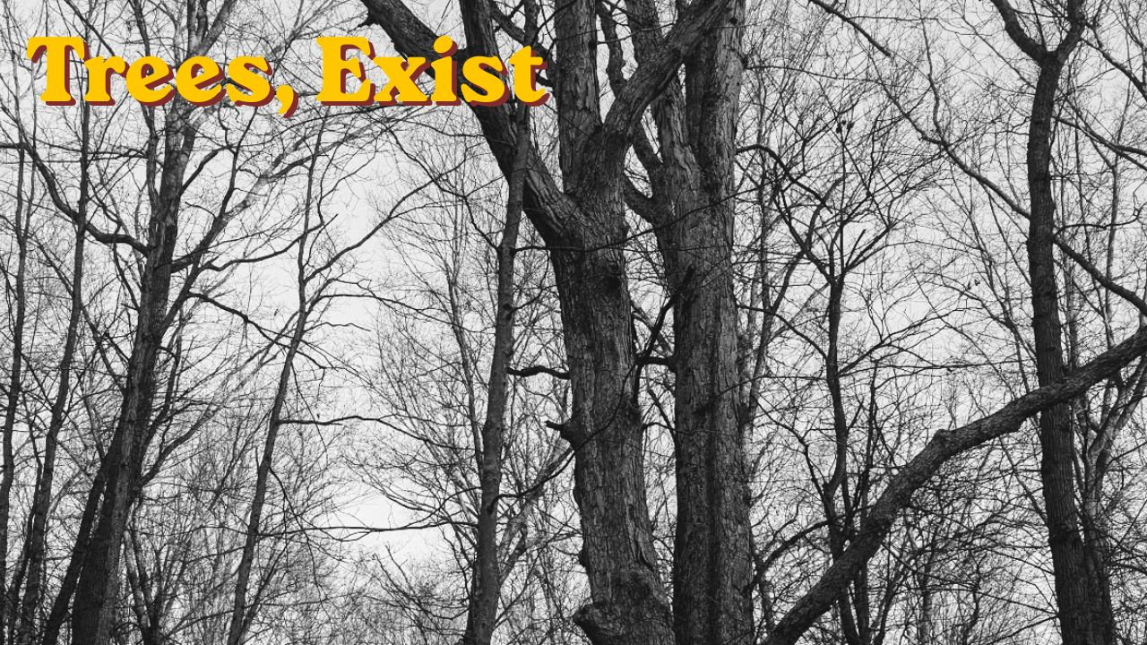 Trees, Exist (2026) - Adventure Film | AceShowbiz