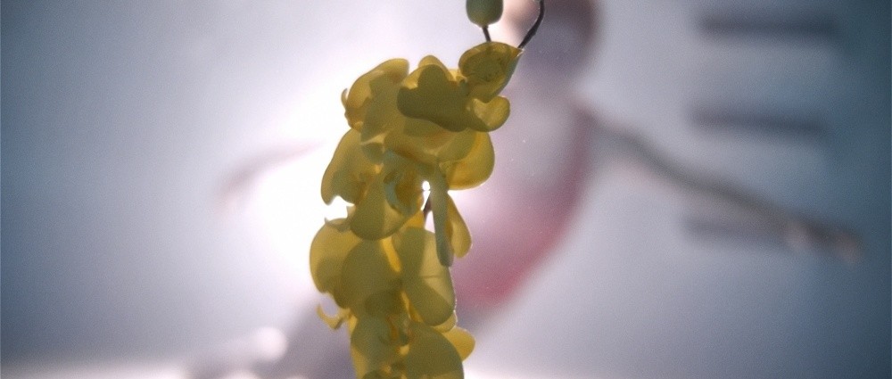 Upstream Color (2013) Cast, Crew, Synopsis and Information