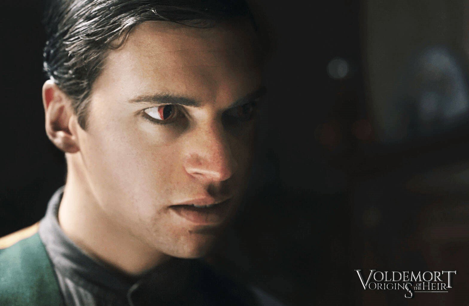 Voldemort: Origins of the Heir Picture 5