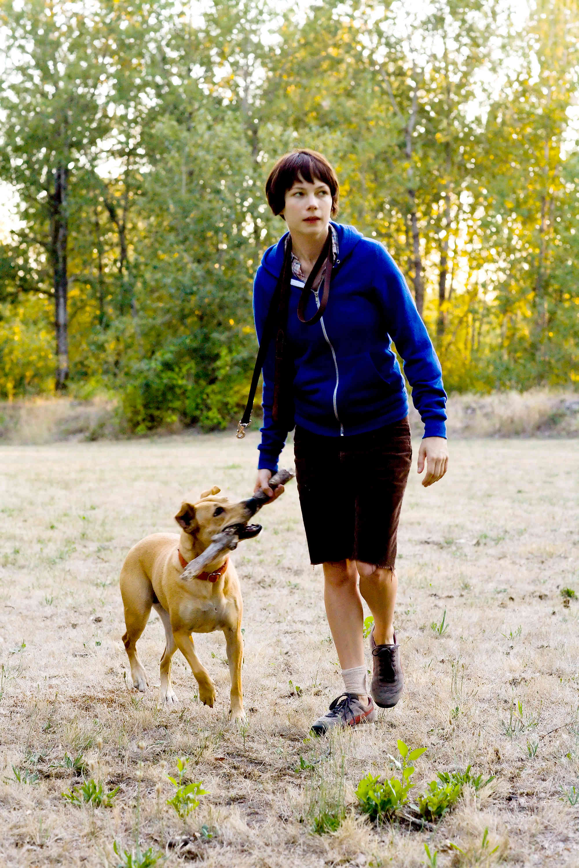 kronotopía: ANIMALES EN EL CINE