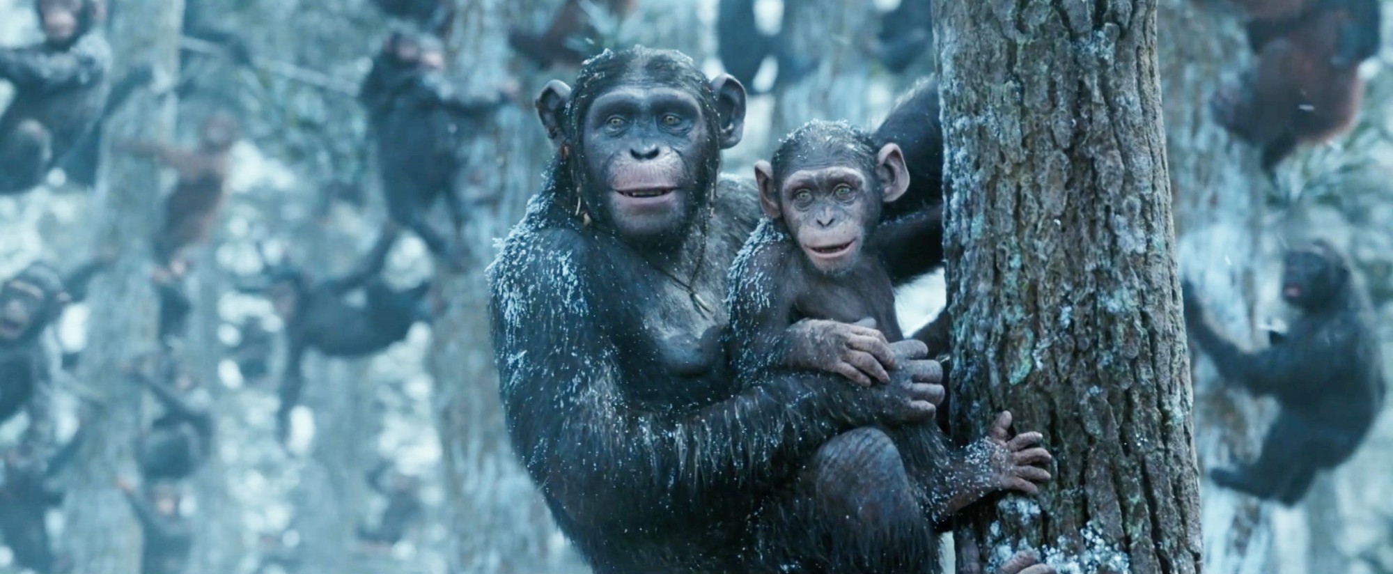 War for the Planet of the Apes Picture 45