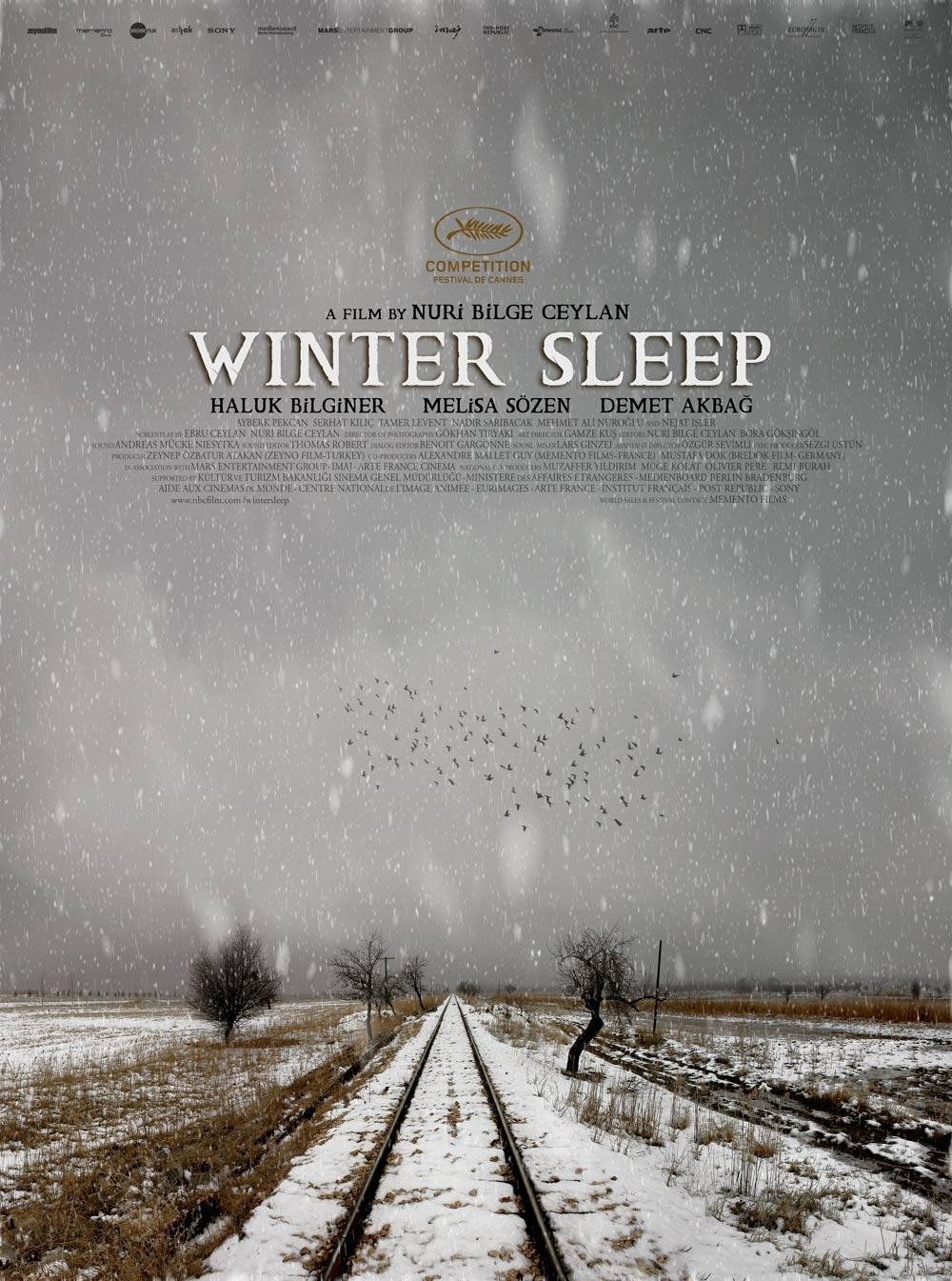 Winter Sleep (2014) Pictures, Photo, Image and Movie Stills