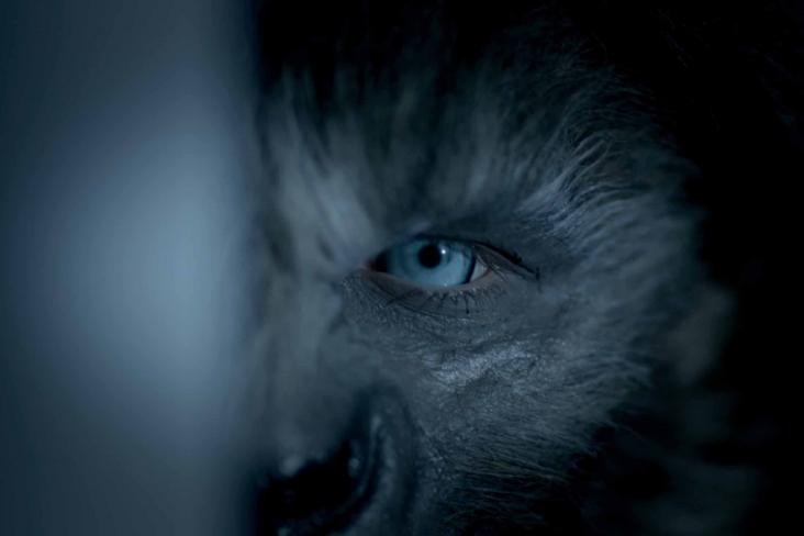 Wolves (2014) Cast, Crew, Synopsis and Information